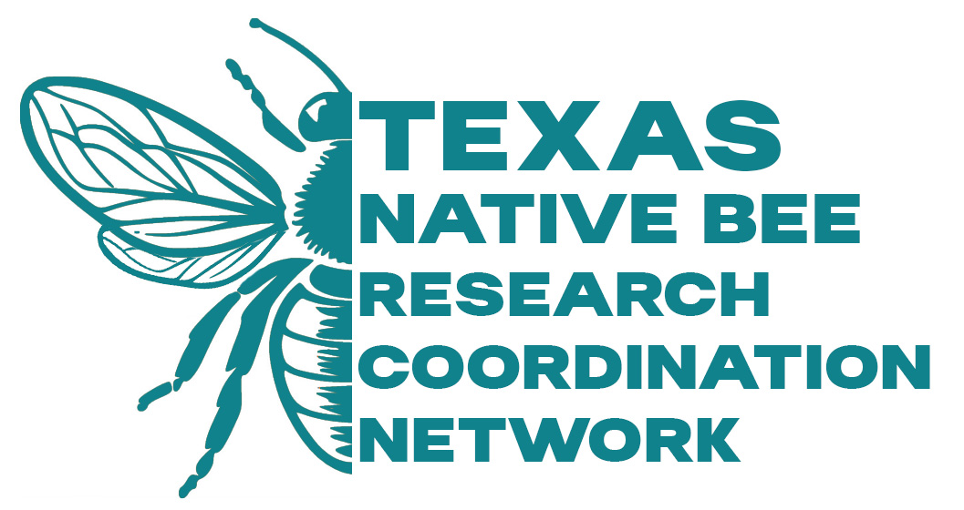 Texas Native Bee Research Coordination Network | The Jha Lab